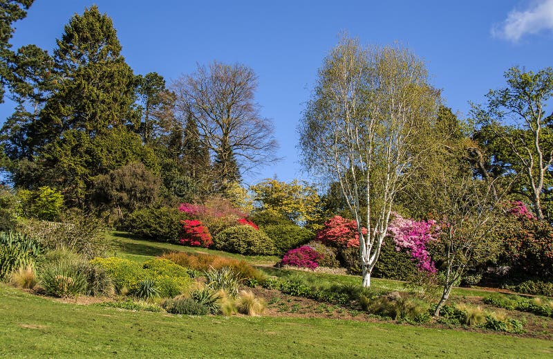 Nature, Garden, Vegetation, Plant Picture. Image: 134765466