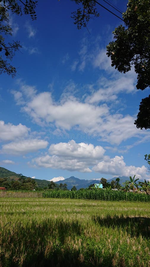 Nature of garut west java stock image. Image of natural - 222609507