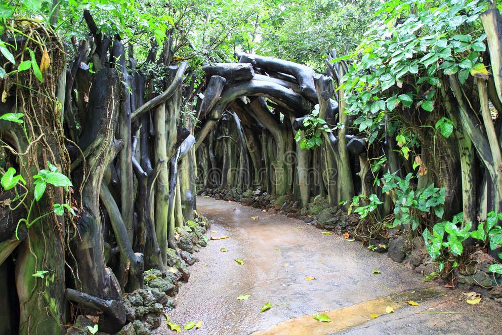 Nature gate stock photo. Image of asia, wooden, tree - 18201806