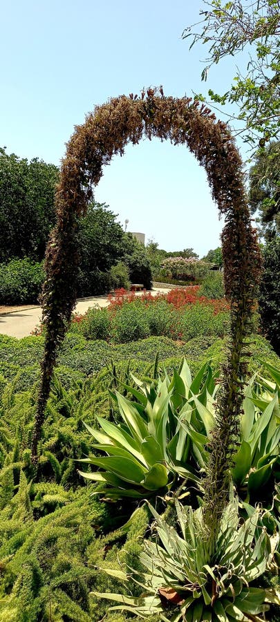 A nature gate stock photo. Image of food, blossom, gate - 223957356