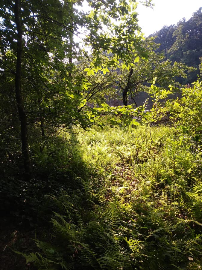 Georgia stock image. Image of earth, georgia, nature - 157952153