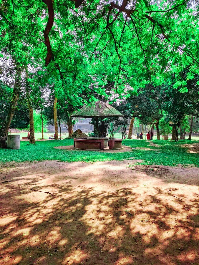 Trees stock image. Image of roads, blue, maple, road - 135991725