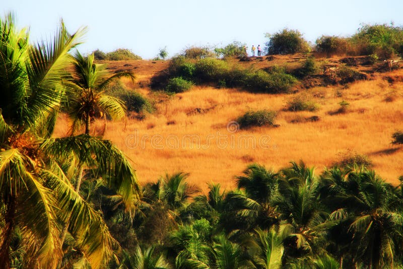 Nature on GOA stock photo. Image of season, glass, water - 50751672