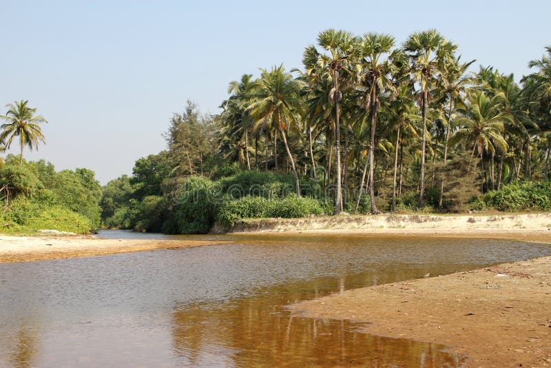 Nature on GOA stock image. Image of season, holiday, water - 50751787