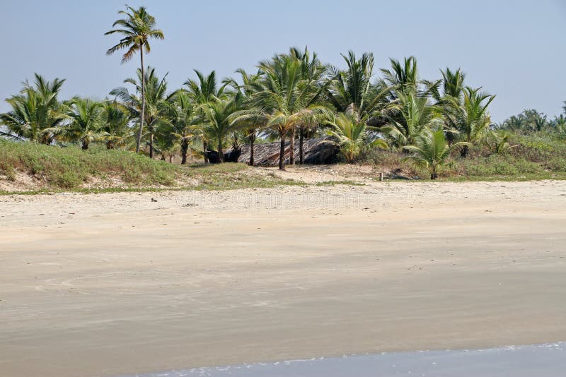 Nature on GOA stock photo. Image of tropical, india, holiday - 50751556