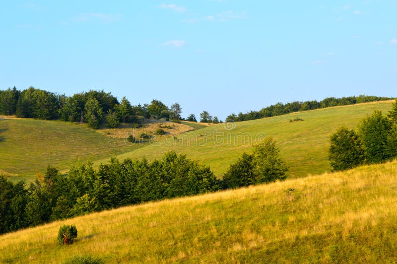 Nature gold landscape stock photo. Image of grass, colorful - 58761734