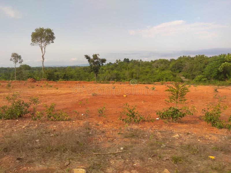Nature stock photo. Image of gound, plant, clouds, ground - 124537950