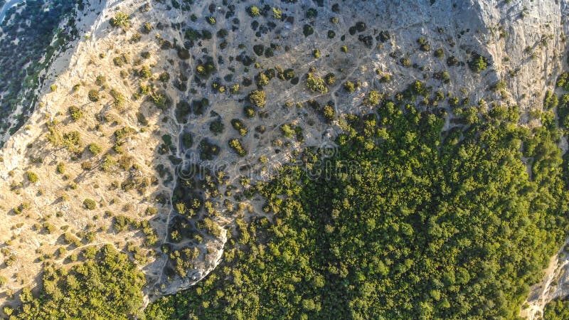 Nature from a great height stock image. Image of summer - 154369067