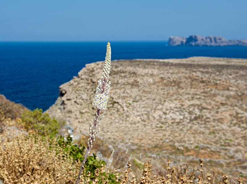 The Nature of the Greek Islands Stock Image - Image of greece, tourism ...