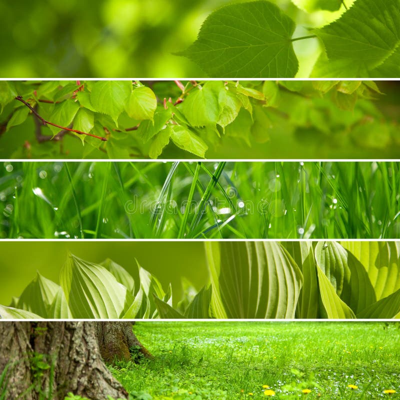 Green Nature Background - Collage Stock Image - Image of field ...