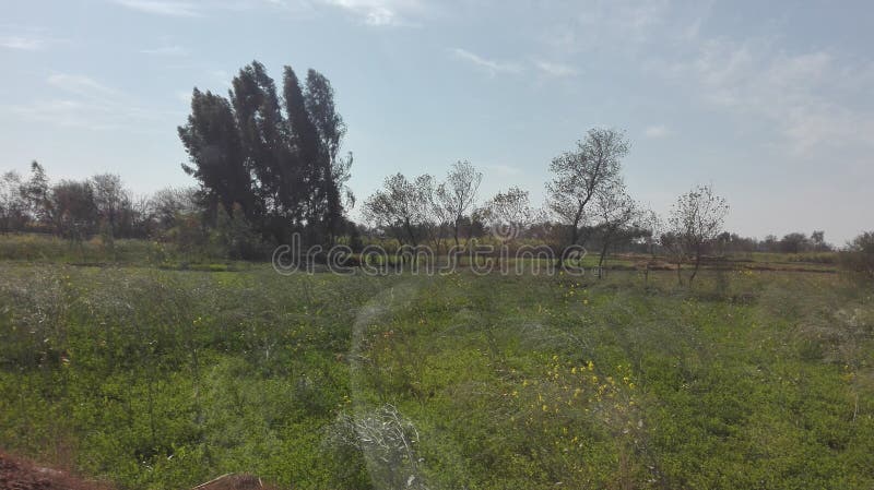 Nature_Green fields stock photo. Image of fields, crops - 109129680