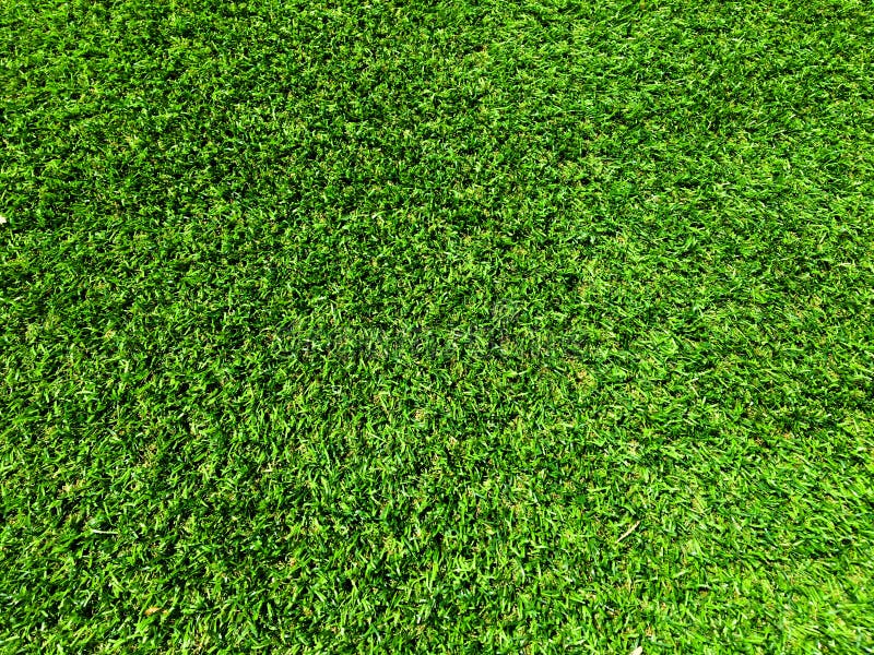 Nature Green Grass Texture Background for Design. Eco Concept Stock ...