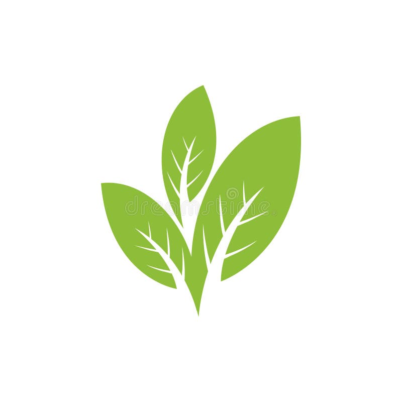 Set of Green Leaves Element Vector Icon. Green Leaf Vector Symbol ...