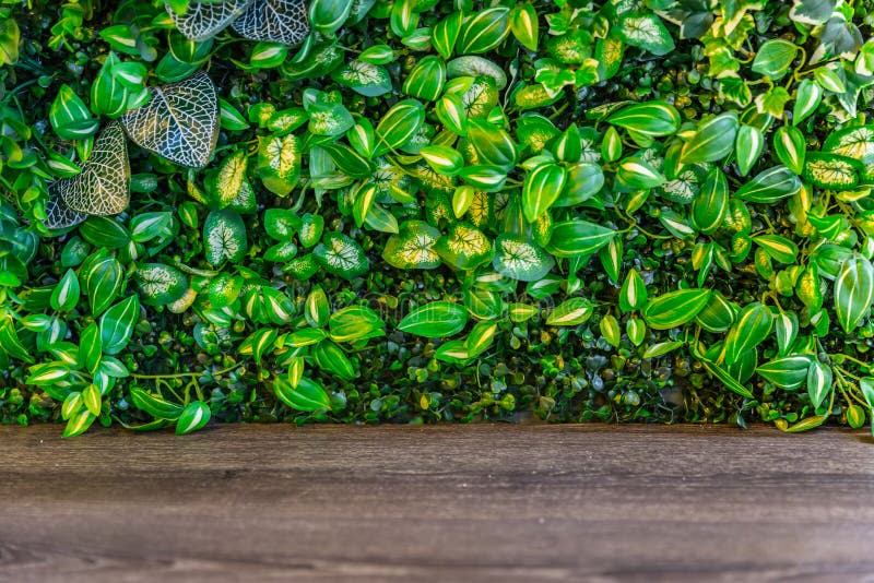 Fake Grass Terrace Stock Photos - Free & Royalty-Free Stock Photos from ...