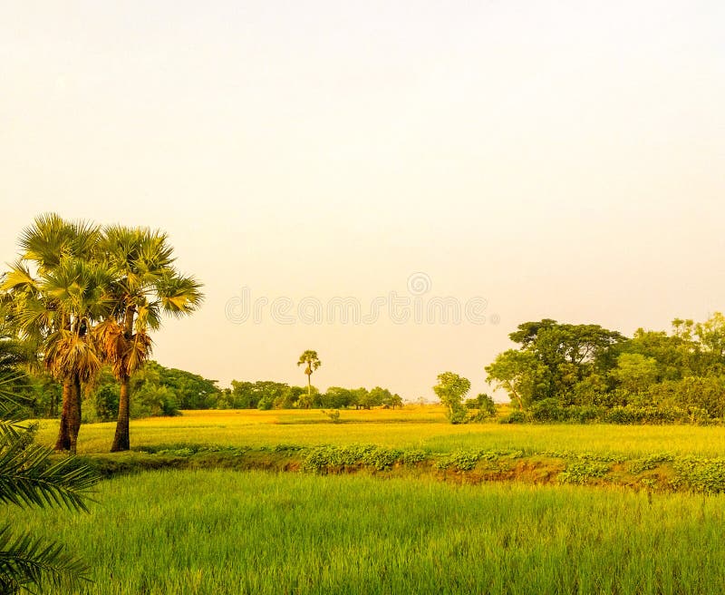 147 Senary Stock Photos - Free & Royalty-Free Stock Photos from Dreamstime