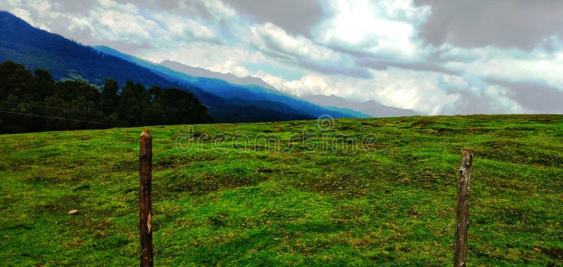 Nature Ground in the Hills Station, Ooty, India. Stock Photo - Image of ...