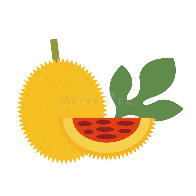 A Nature Healthy Organic Gac Fruit Stock Vector - Illustration of leaf ...