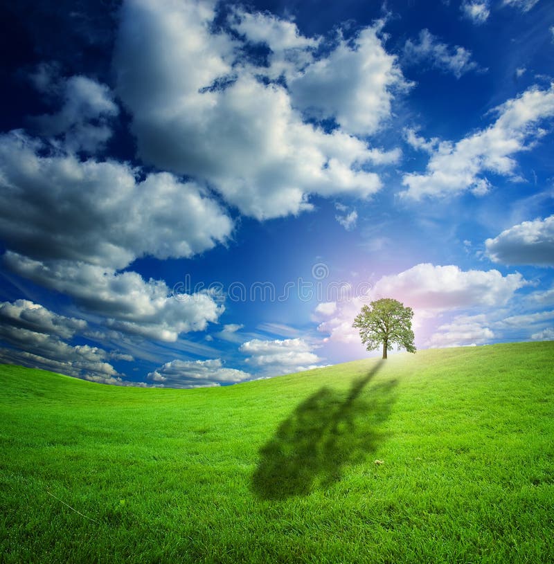 Heaven Nature Wallpaper