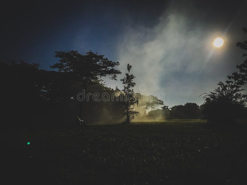 Green is life stock image. Image of nature, hide, life - 152793673