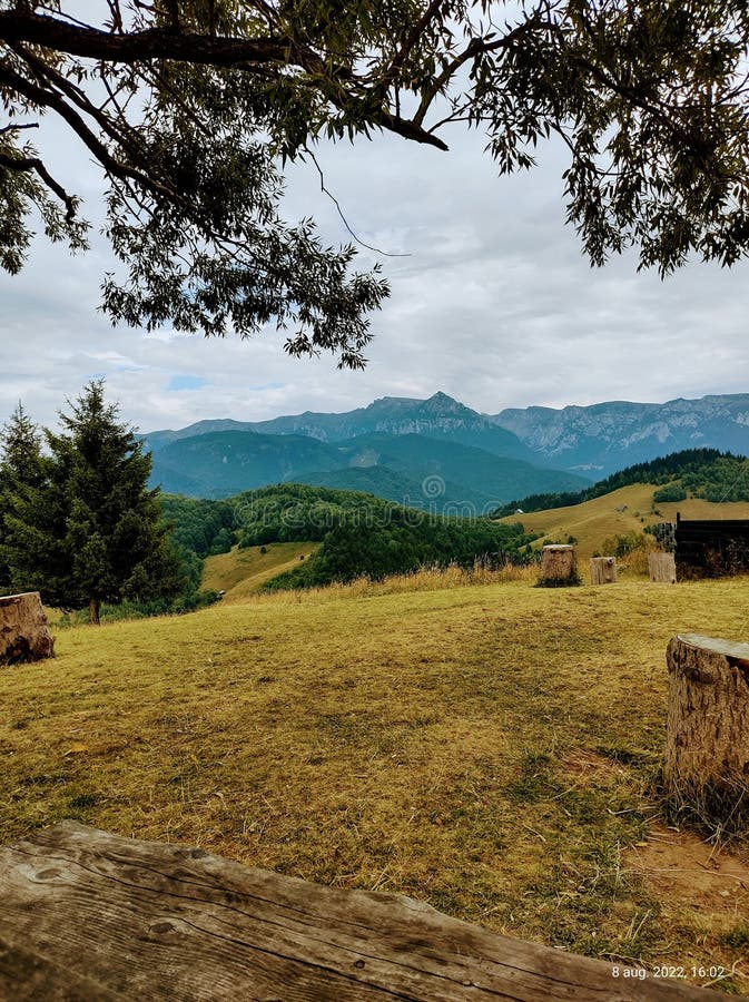 Nature Hill Tree Mountain Relax Stock Image - Image of grass, nature ...