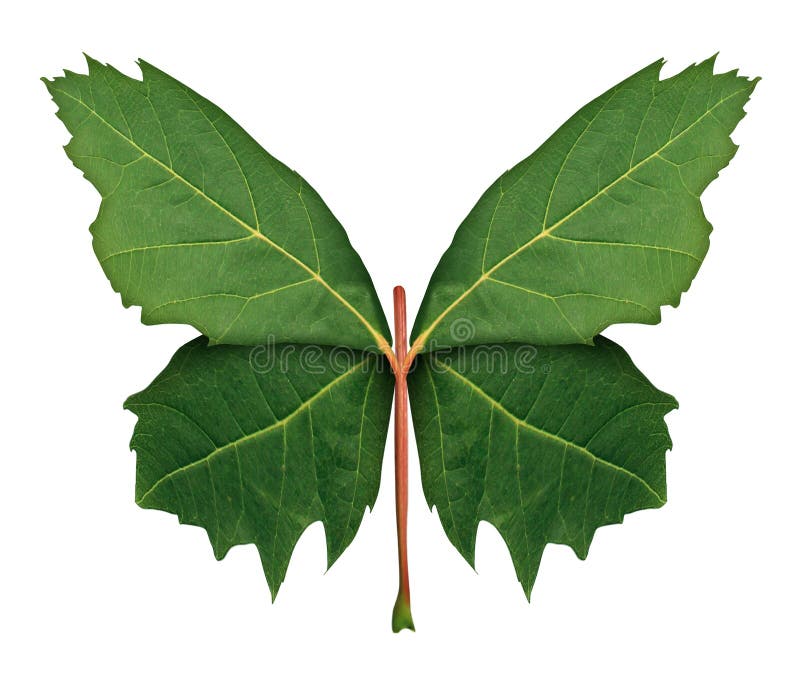 Nature and Hope stock illustration. Illustration of creativity - 42272466