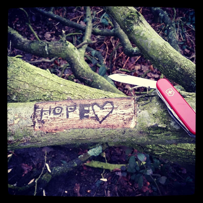 Nature editorial image. Image of inspirational, nature - 42909830