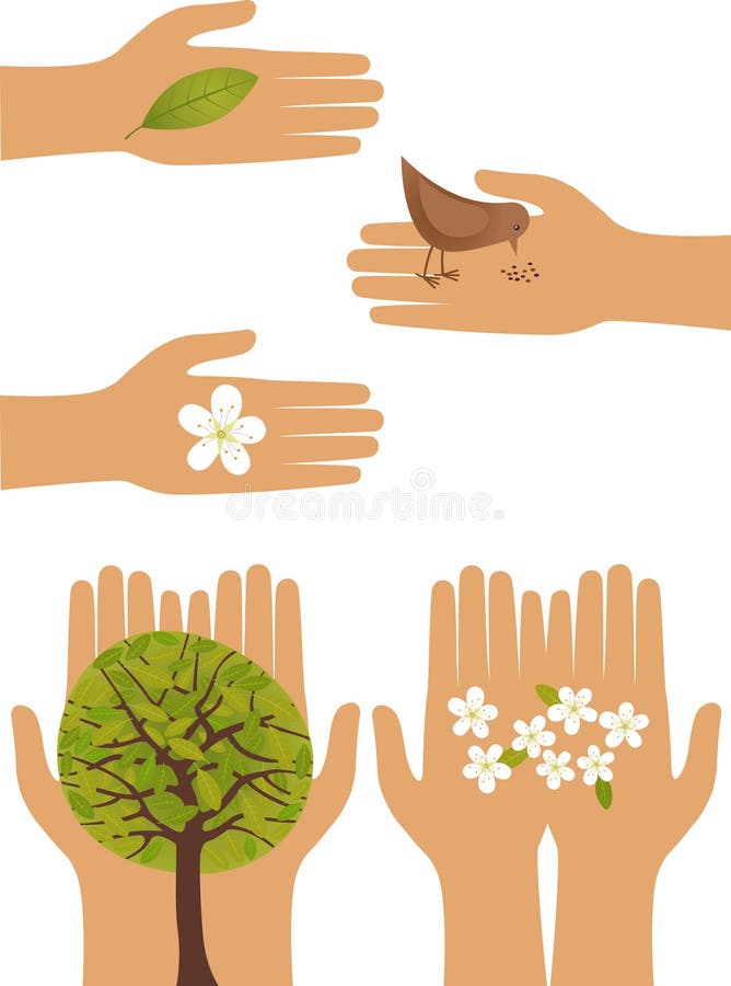 Nature in human hands stock vector. Illustration of growth - 16949260