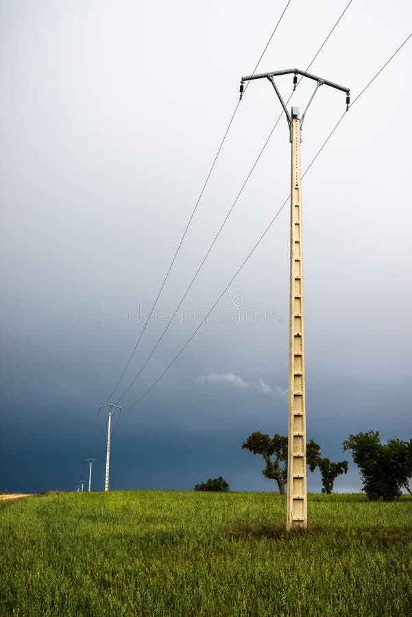 Nature stock photo. Image of suns, botanist, summer, landscape - 92264468