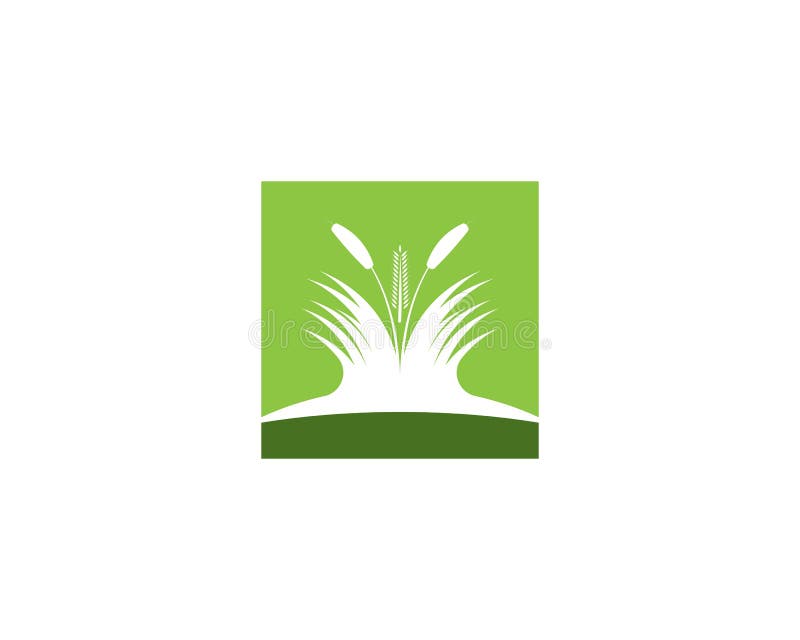 Nature Icon Logo Design Vector Illustrartion Stock Vector ...