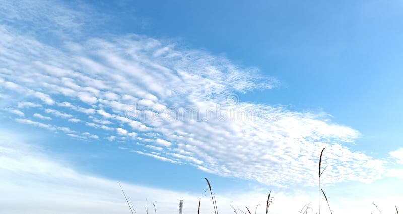 Nature Image. Blue Foggy Sky for Background Stock Image - Image of tree ...
