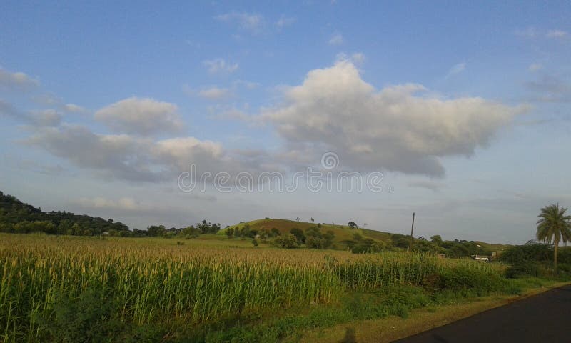 Nature image by King stock photo. Image of savan, nature - 127034294