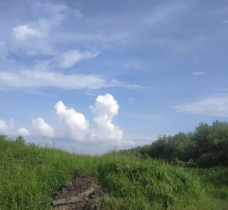 Nature image. Natural view stock image. Image of grassland - 259008903