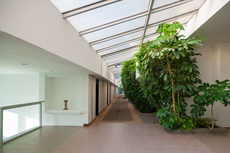 Nature Inside the Building, Corridor and Foliage Stock Image - Image of ...