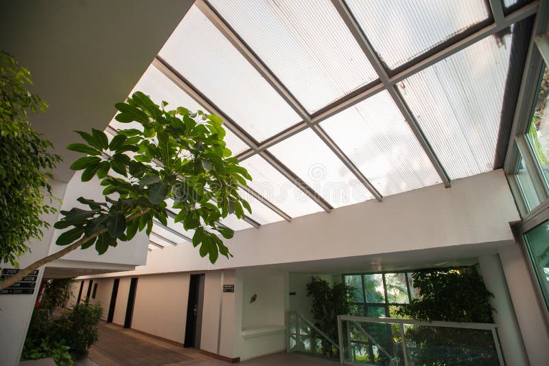 Nature Inside the Building, Corridor and Foliage Stock Photo - Image of ...