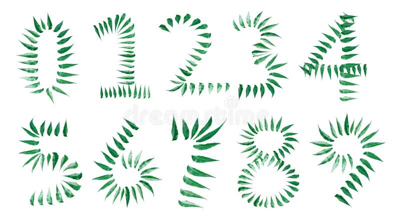 Nature-Inspired Numbers Creative Representation of Digits Using Green ...