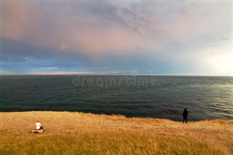 Nature inspires stock image. Image of natural, nature - 83497621