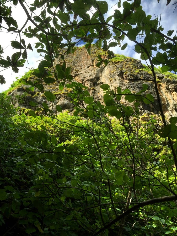 The Nature of the Island Phi Phi. Thailand Stock Photo - Image of maya ...