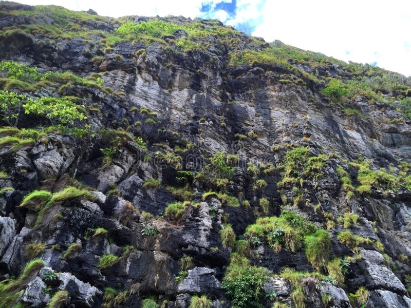 The Nature of the Island Phi Phi. Thailand Stock Photo - Image of views ...