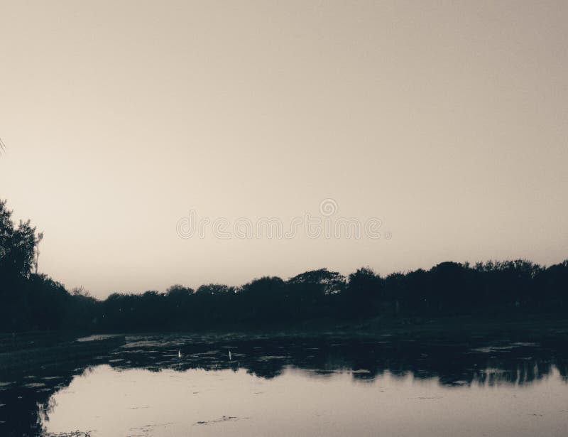 Nature at its best stock photo. Image of dawn, shore - 174971154