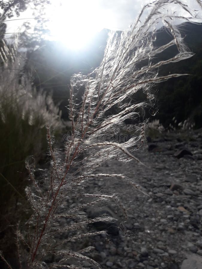 Sunset stock image. Image of nature, purity, dusk, time - 100965023