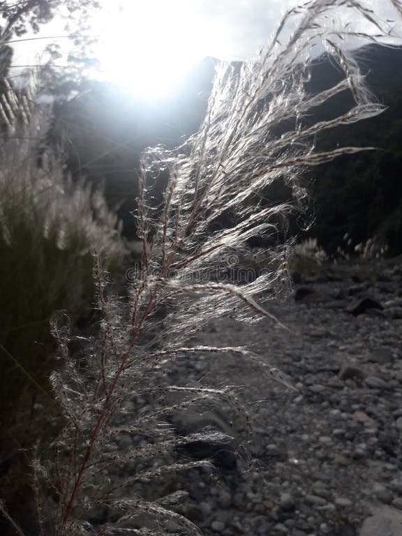 Sunset stock image. Image of nature, purity, dusk, time - 100965023