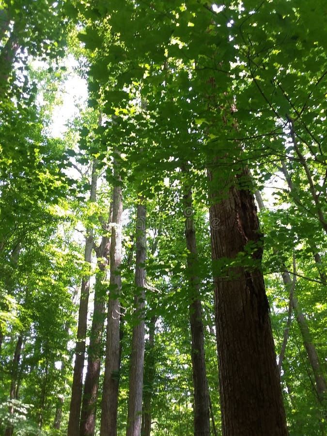 Nature at its finest stock photo. Image of earth, nature - 164027716