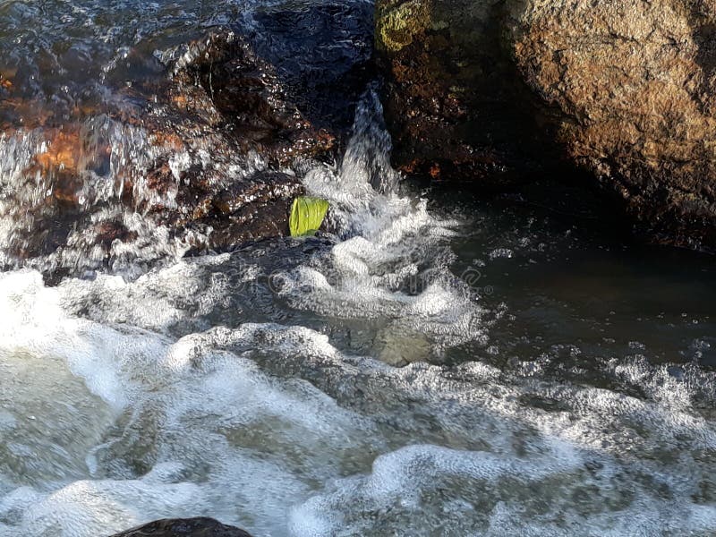 Nature in Its Most Beautiful State Stock Photo - Image of state, green ...