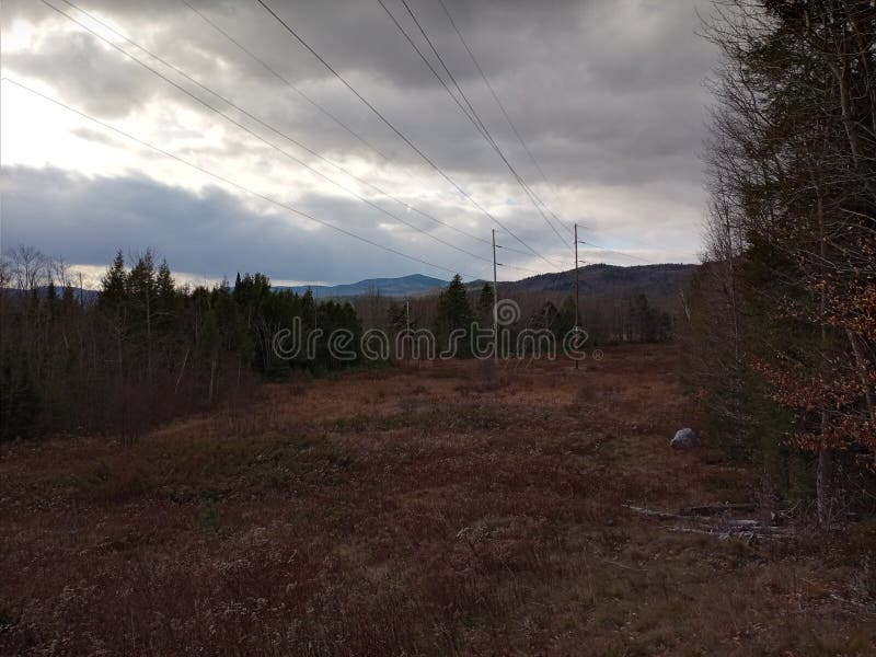 Nature at Its Most Natural State Stock Photo - Image of sunlight ...