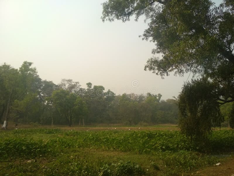 Nature stock photo. Image of good, nature, joint - 136059866