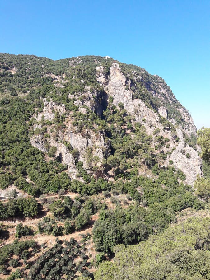 Nature stock photo. Image of tree, biome, hill, village - 98467392