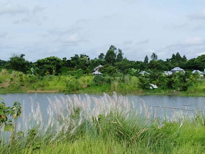 Nature, Kashful, Natural Scenario, Greenery Stock Image - Image of ...