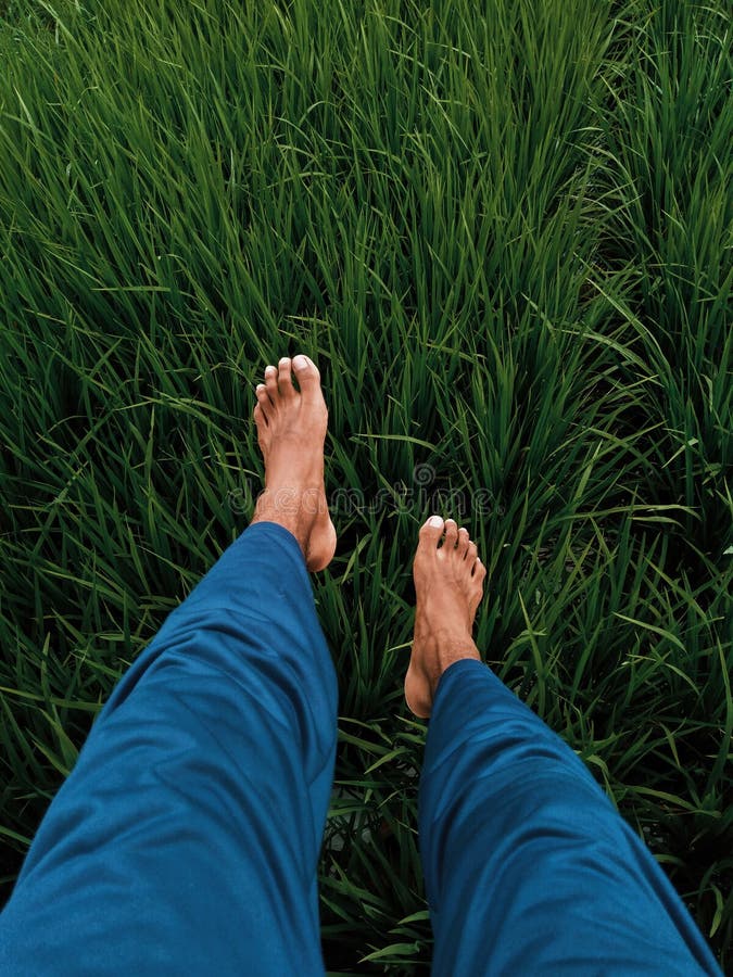 Nature Keep Us. always Gives Us Good Stock Photo - Image of nature ...