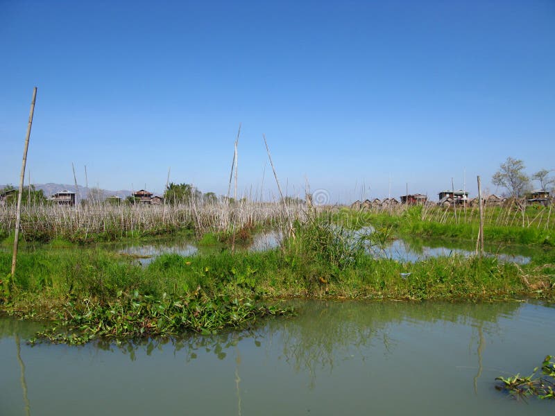 Nature of Lake Inle in Mountains of Myanmar Stock Image - Image of ...