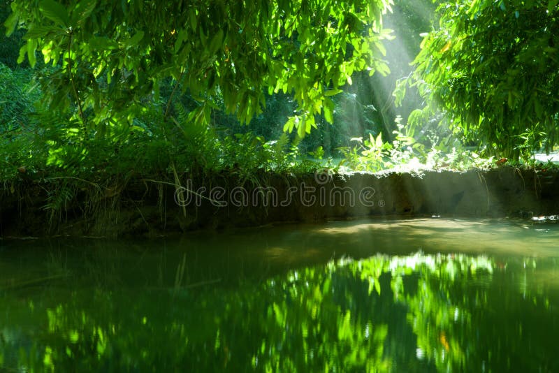 Nature lake stock photo. Image of natural, heaven, sunny - 70278196